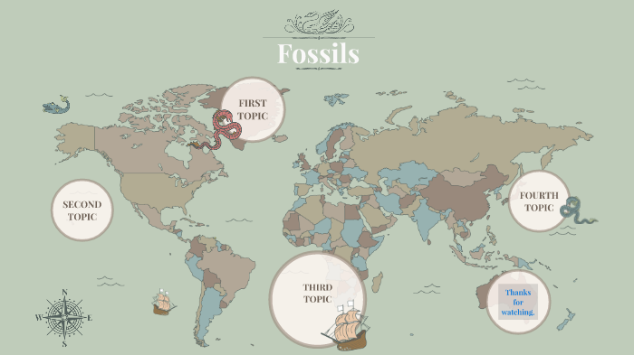 Fossils by Devin Overstreet on Prezi