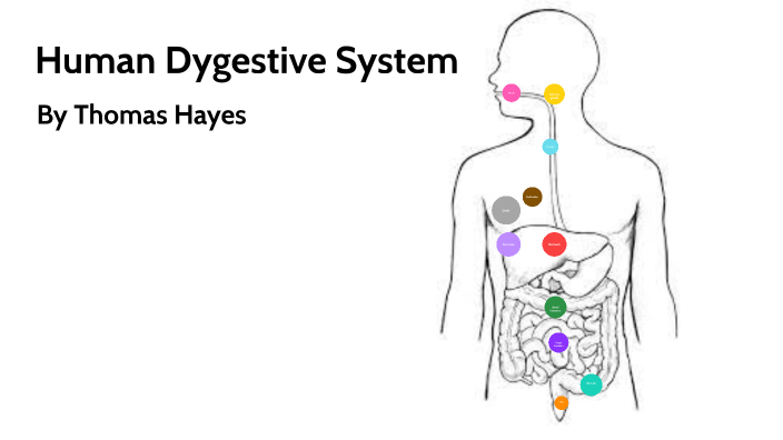 Science 2D System Project by Thomas Hayes on Prezi