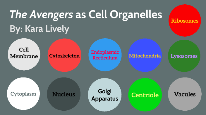 Cells and Avengers by Kara Lively on Prezi