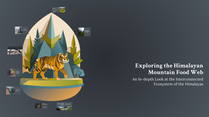 Exploring the Himalayan Mountain Food Web by farzeen ahmed on Prezi