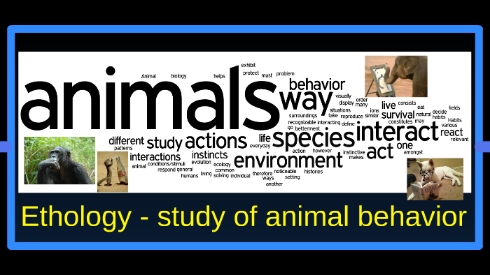 Behavioral Biology by Valentin Torres on Prezi