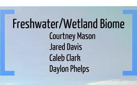 Freshwater/Wetlands Biome by Courtney Mason on Prezi