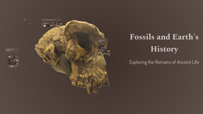 Fossils and Earth's History by Nathan Lewis on Prezi