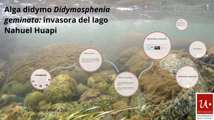 Didymo by zoe . on Prezi