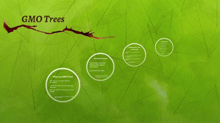GMO Trees by Martin Pilling on Prezi