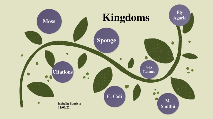 Module Ten Lesson One Pathway Three Activity by Isabella Bautista on Prezi
