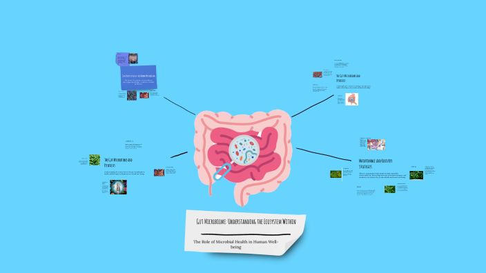 Gut Microbiome: Understanding the Ecosystem Within by Karl Olegario on ...