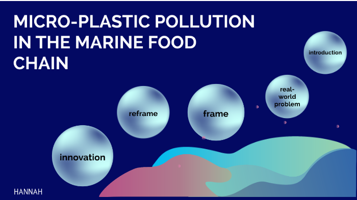 MICRO-PLASTIC POLLUTION IN THE MARINE FOOD CHAIN by hanyin zhang on Prezi