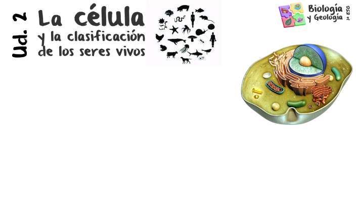 Ud. 2. La célula y la clasificación de los seres vivos by Asier Piñeiro ...