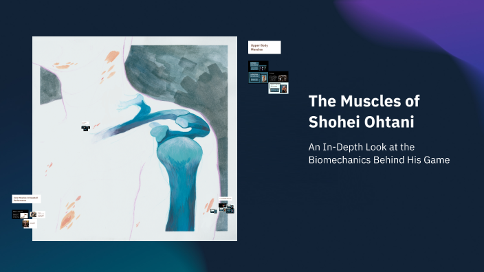 The Muscles of Shohei Ohtani by Faizan Khan on Prezi