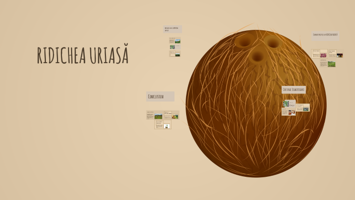 RIDICHEA URIASĂ by Stoian-Cristea Alexandra-Cristina on Prezi