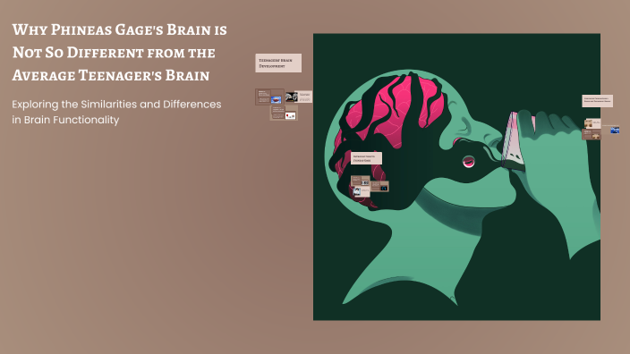 Why Phineas Gage's Brain is Not So Different from the Average Teenager ...