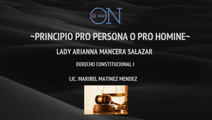 el principio pro persona o pro homine by Arianna Mancera on Prezi Design