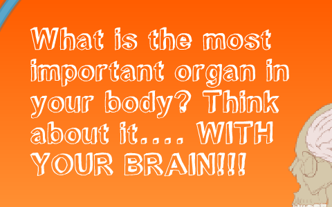 ThE mOsT iMpOrTaNt OrGaN iN tHe BoDy!... by john doe on Prezi