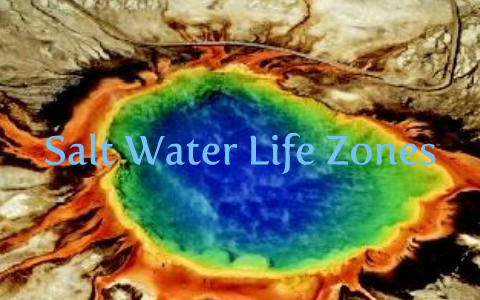 Salt Water Life Zones by jory gardner on Prezi