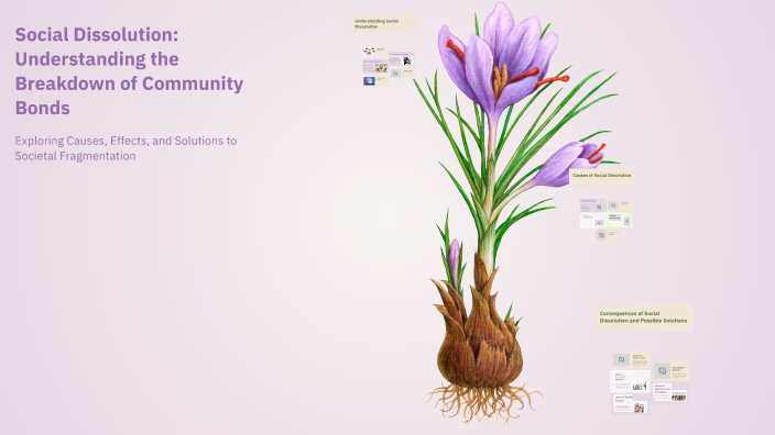 Social Dissolution: Understanding the Breakdown of Community Bonds by ...