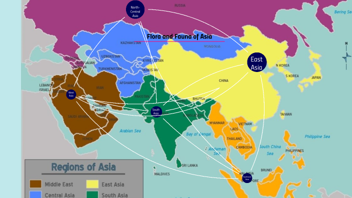 Flora and Fauna of Asia by aham wijaya on Prezi