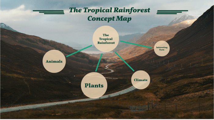 Tropical Rain Forest Concept Map by Dean 18-Havelock on Prezi