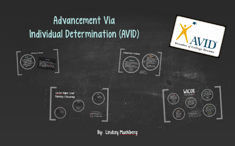 The AVID Tutorial Process by Lindsey Muehlberg on Prezi