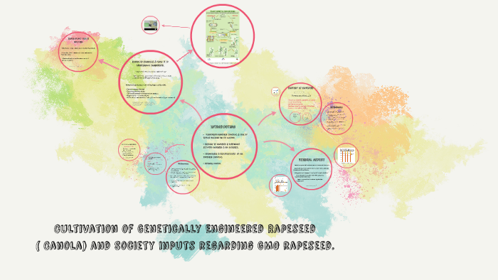 Tissue culture and GMO Crops by Kristie Bigornia on Prezi