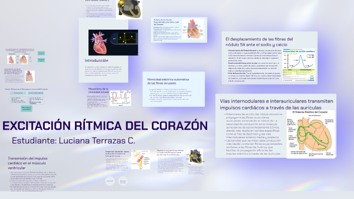 EXCITACIÓN RÍTMICA DEL CORAZÓN by MAYTE LUCIANA TERRAZAS CÓRDOVA on Prezi
