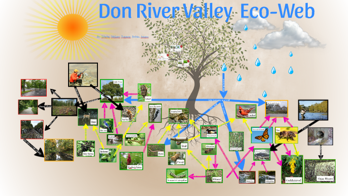 Don River Valley by Melody Raj on Prezi