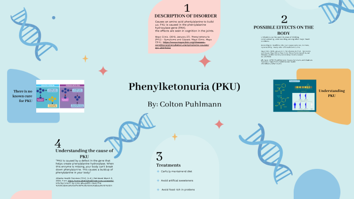 Phenylketonuria (PKU) by Colton Puhlmann on Prezi