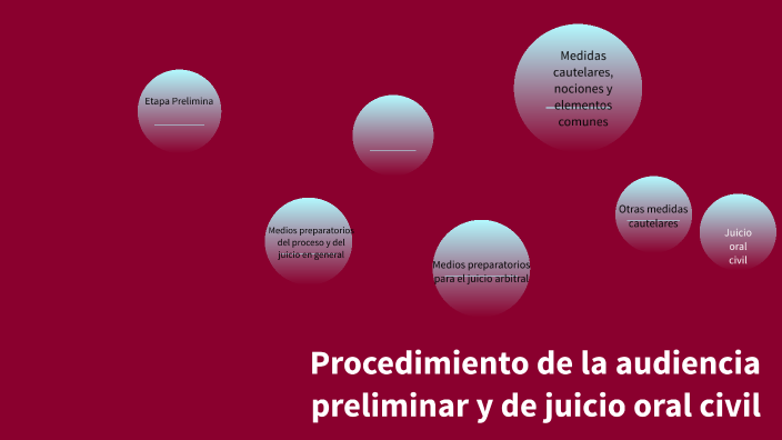 Procedimiento De La Audiencia Preliminar Y De Juicio Oral Civil By