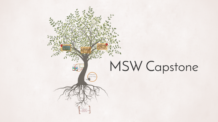 MSW Capstone by Anneka Westergreen on Prezi