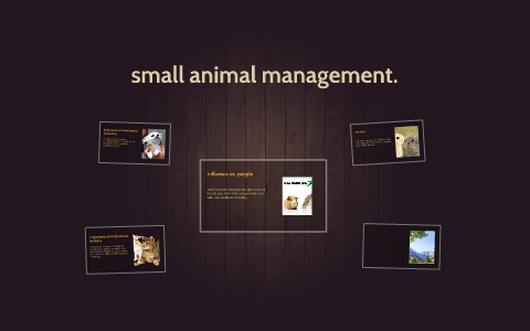 small animal management. by Jon Castillo on Prezi