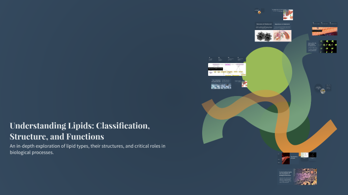 Understanding Lipids: Classification, Structure, and Functions by ...