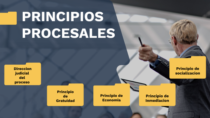 PRINCIPIOS PROCESALES by YERALDINE ROCIO TUFINO ROBLES on Prezi