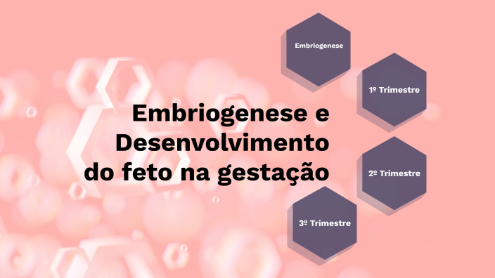 Embriogenese e Desenvolvimento do feto na gestação by jennifer cardinot ...