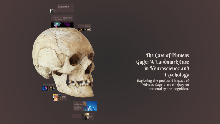 The Case of Phineas Gage: A Landmark Case in Neuroscience and ...