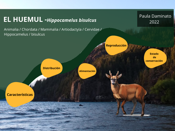 el huemul by Pauu Daminato on Prezi