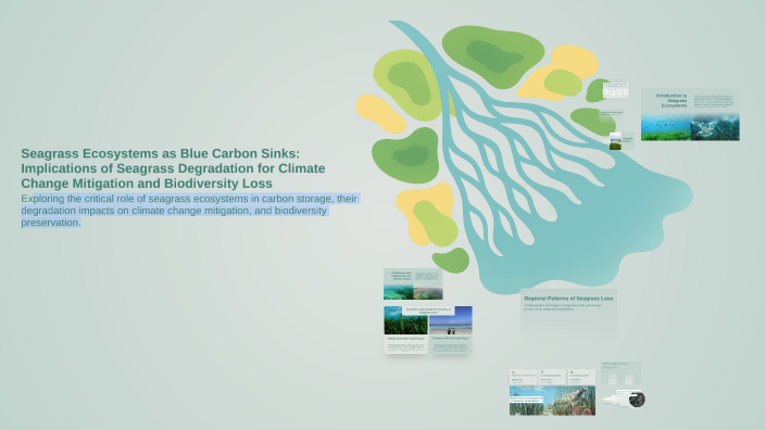 Seagrass Ecosystems as Blue Carbon Sinks: Implications of Seagrass ...