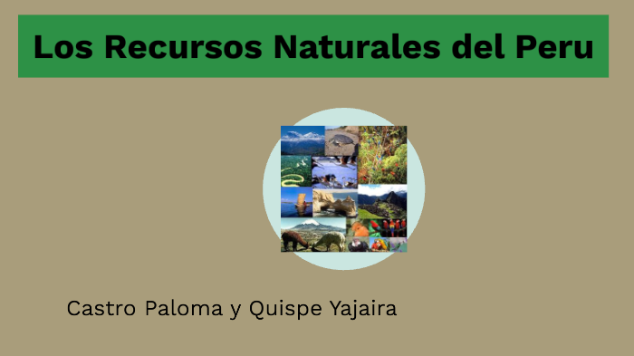 Los Recursos Naturales del Peru by Palo Castro on Prezi