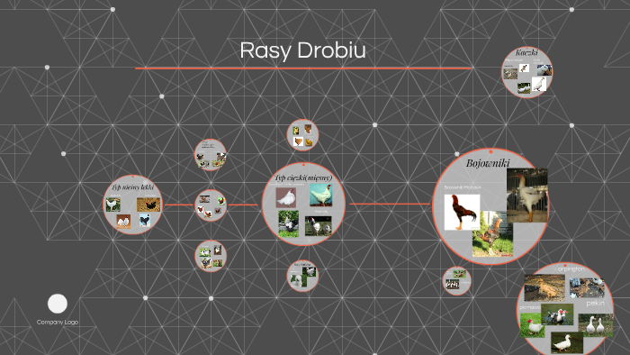 Rasy Drobiu by Patrycja Szymańska on Prezi