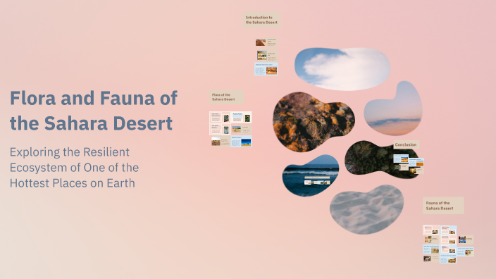 Flora and Fauna of the Sahara Desert by Vipranshi on Prezi
