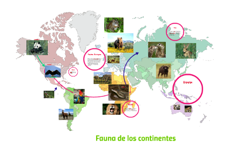 Fauna de los continentes by Sofia Gramajo Obando on Prezi