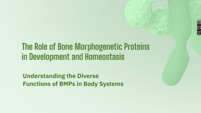 The Role of Bone Morphogenetic Proteins in Development and Homeostasis ...