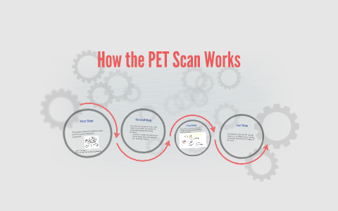 How the PET Scan Works by Victor Chu on Prezi