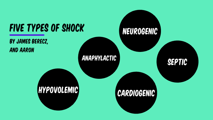 5 Types Of Shock by James Berecz on Prezi