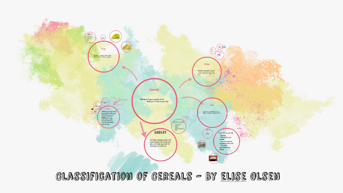 Classification of Cereals by Elise Olsen on Prezi