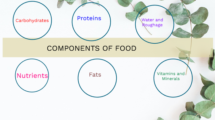 Components of food by PPI School on Prezi