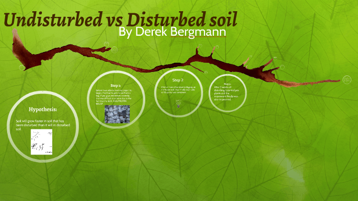 Undisturbed vs Disturbed soil by derek bergmann on Prezi