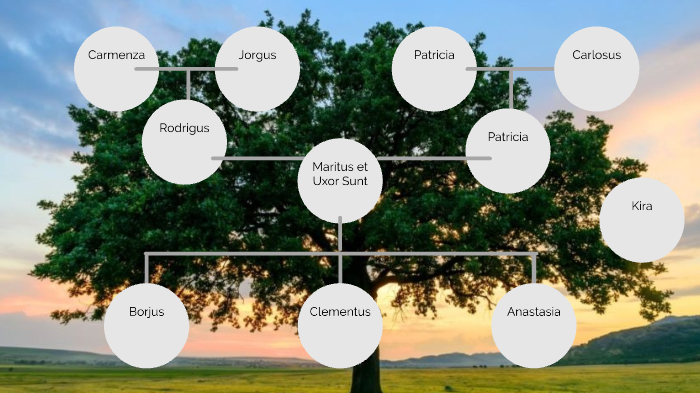 Latin family tree by Anastasia Ocejo on Prezi