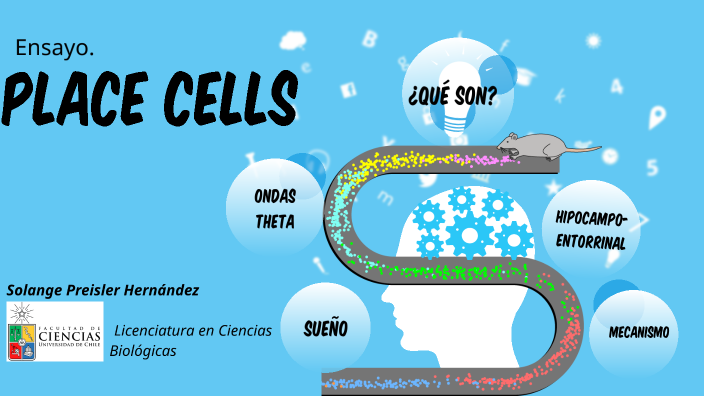 Place Cells by Sol Preisler Hernandez on Prezi