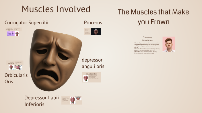 The Anatomy of Frowning: Understanding Facial Muscles by Lacey ...