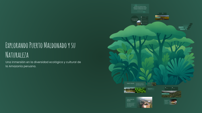 Explorando Puerto Maldonado y su Naturaleza by JEAN PIERRE IMANOL ...